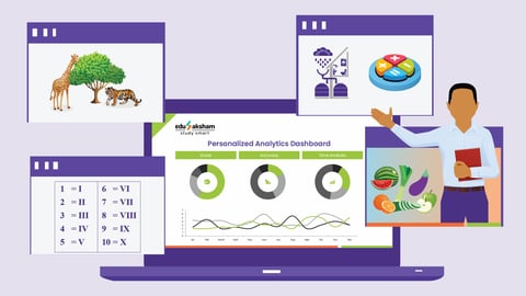 Class 6 - Smart Math & Science Assessment Combo
